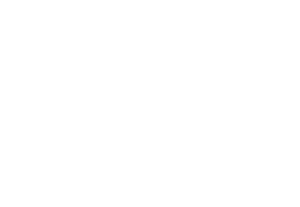 Our Services - Spectrum Development Solutions