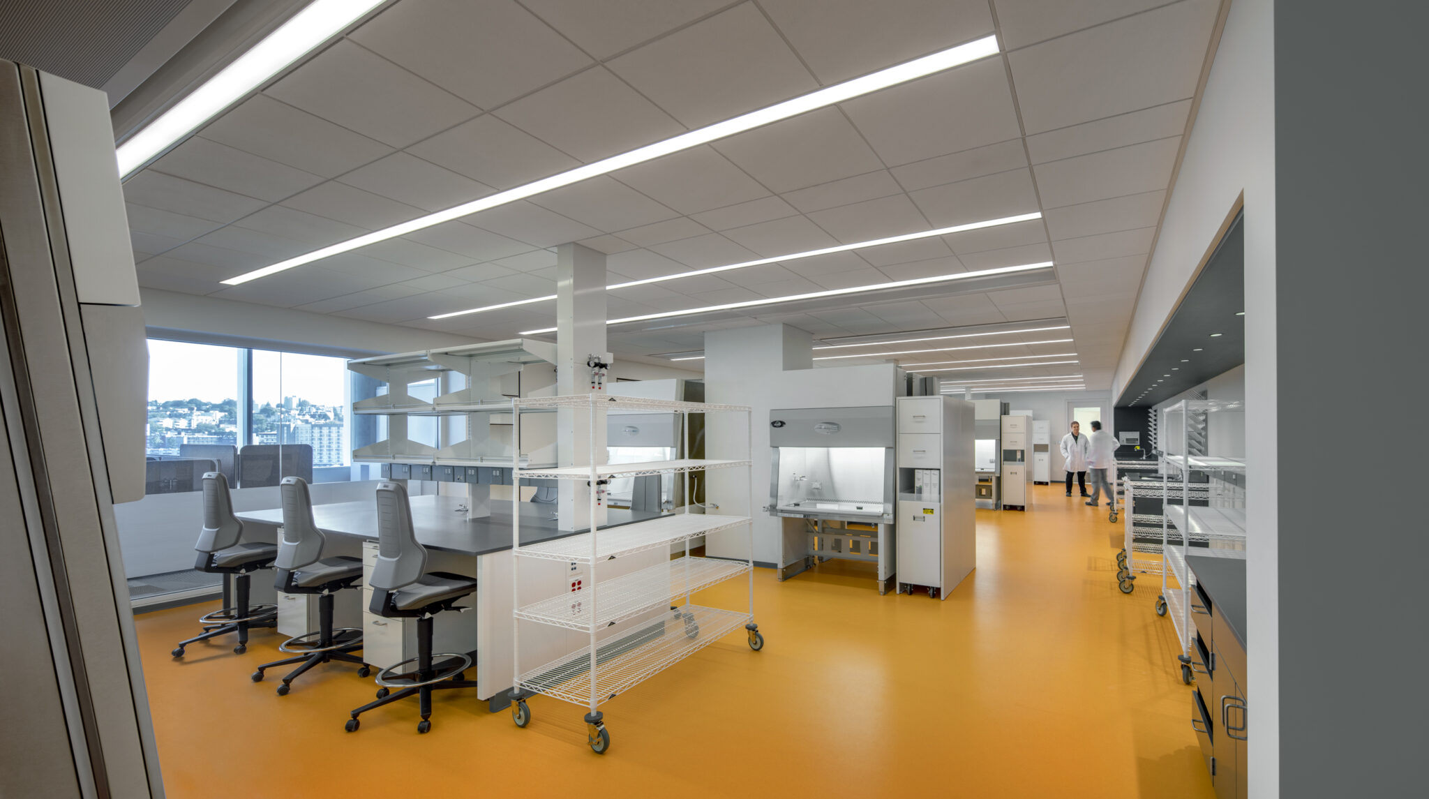 Seattle Children's Research Institute (SCRI) - Spectrum Development ...